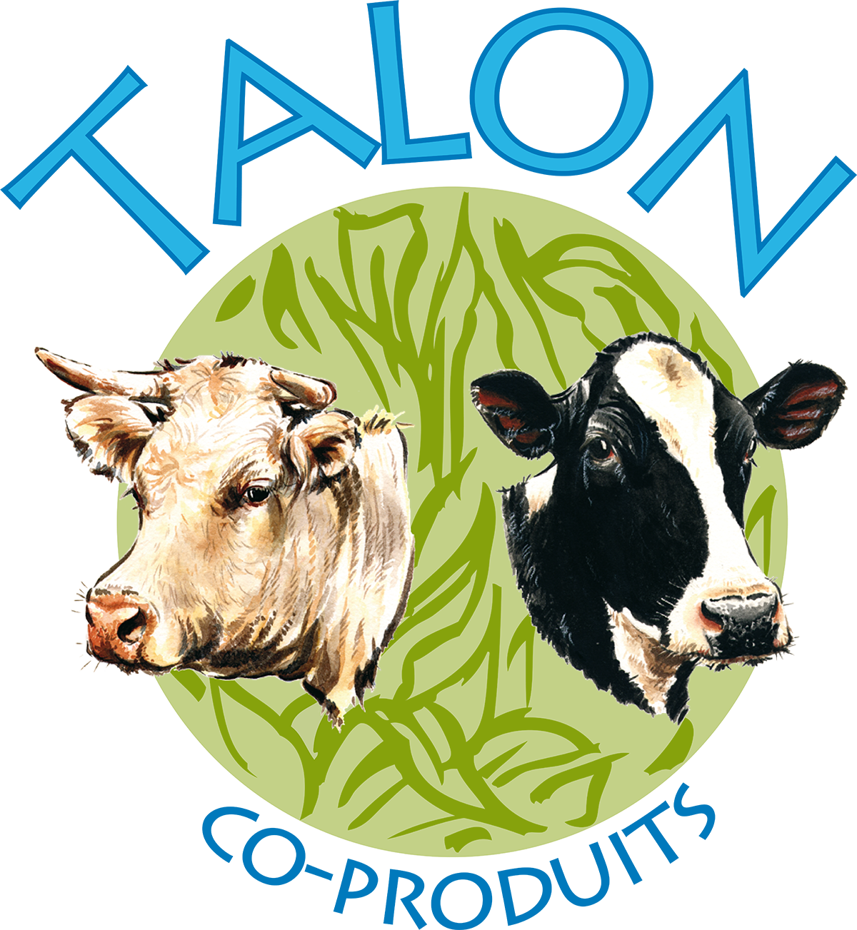 Pulpe de betterave surpressée - Talon Co-Produits