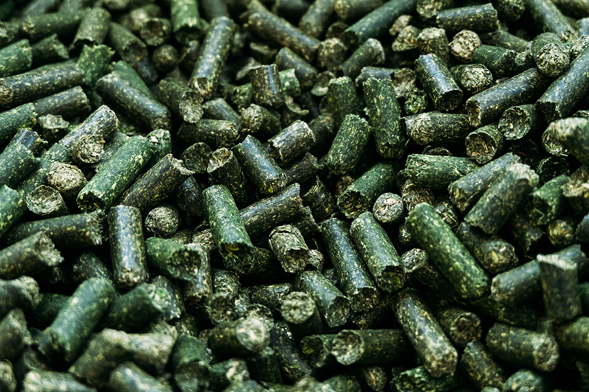 Luzerne en pellets - Talon Co-Produits